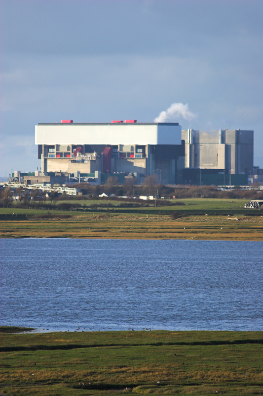 Next-generation nuclear? States explore potential of small modular ...